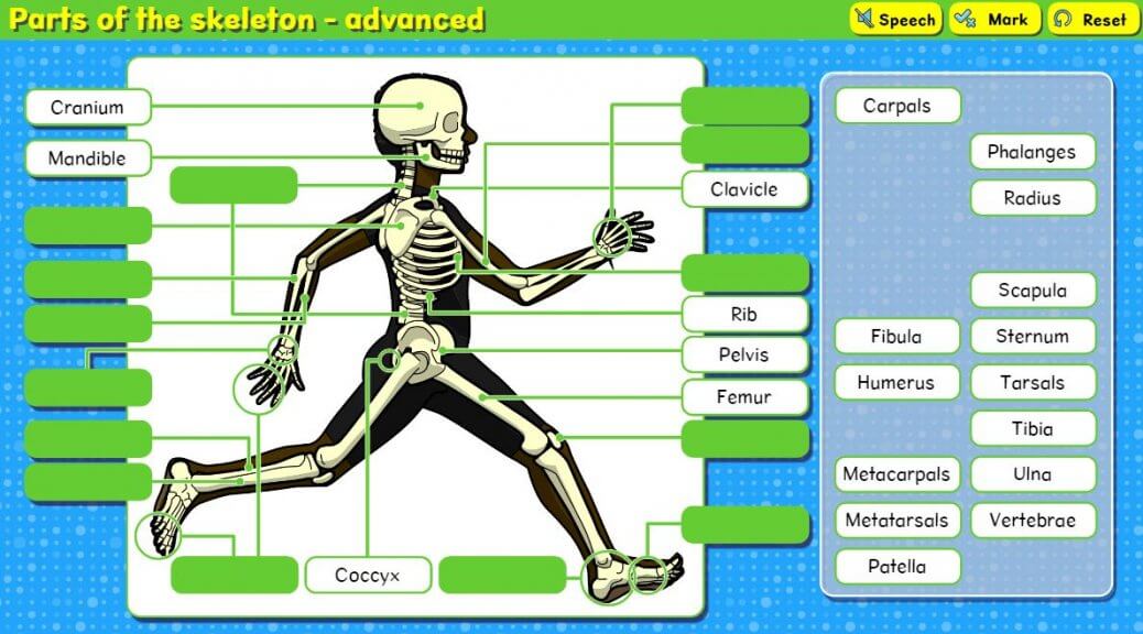 Have you seen our Key Stage 2* games? - Busy Things Blog
