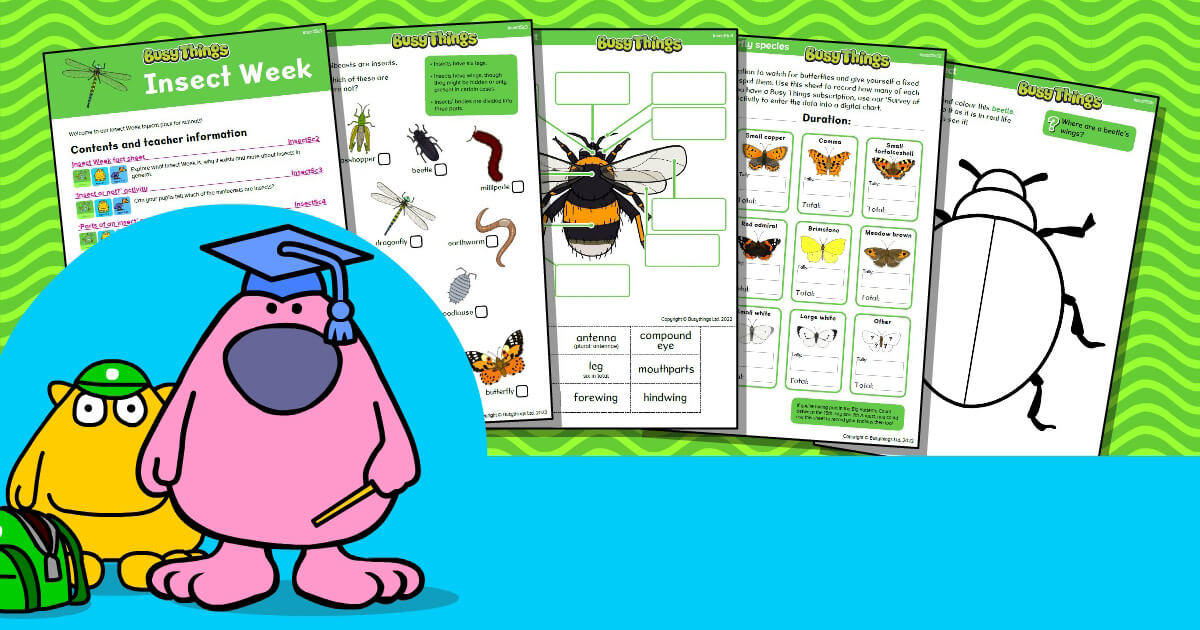 FREE Insect Week topical pack for schools! - Busy Things Blog