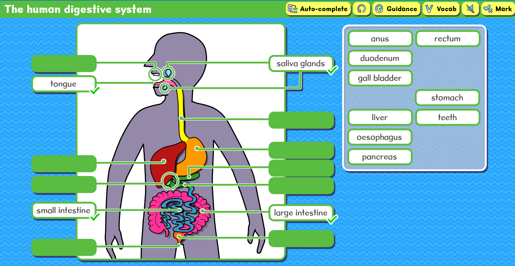 World Science Day - Busy Things Blog