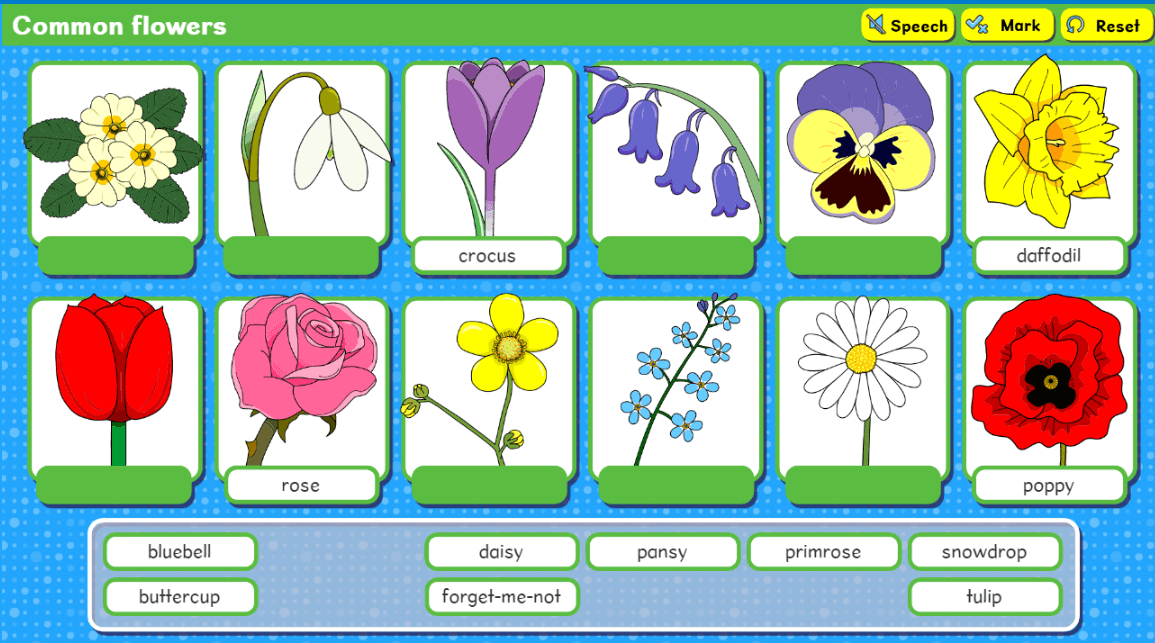 FREE Gardening pack for schools - Busy Things Blog