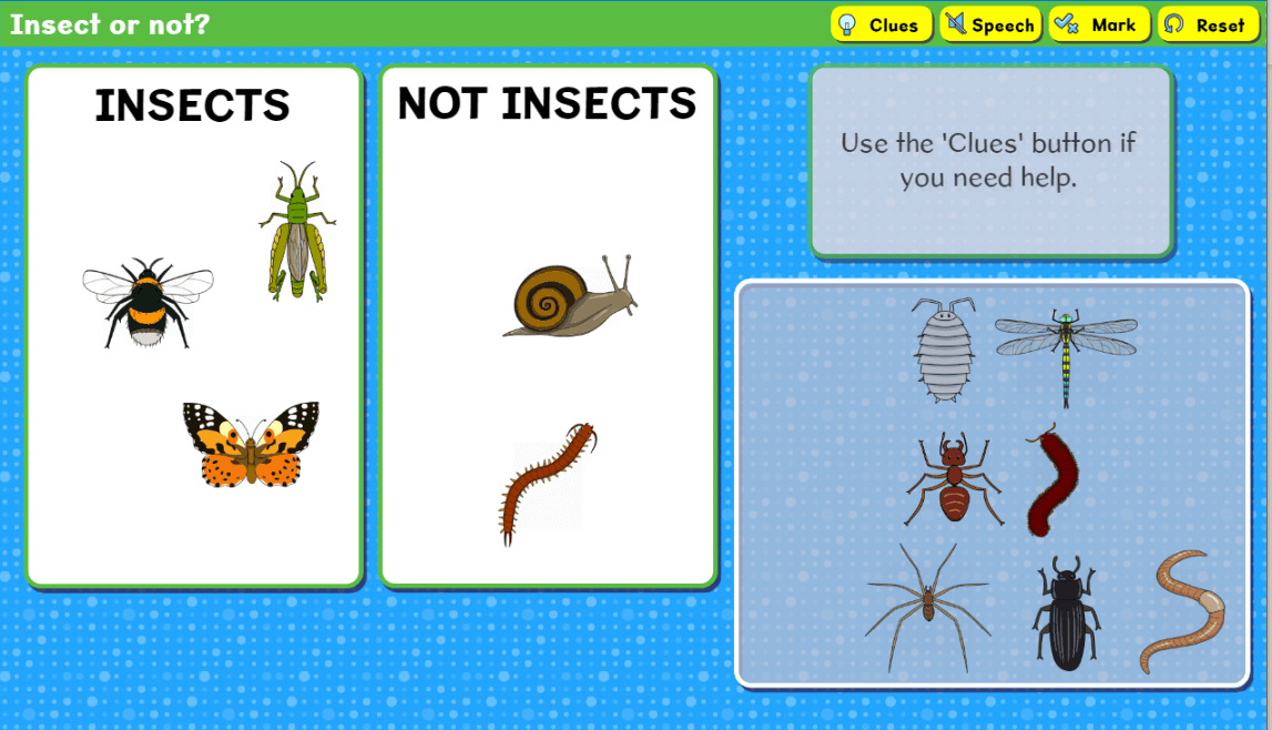 FREE Insect Week topical pack for schools! - Busy Things Blog