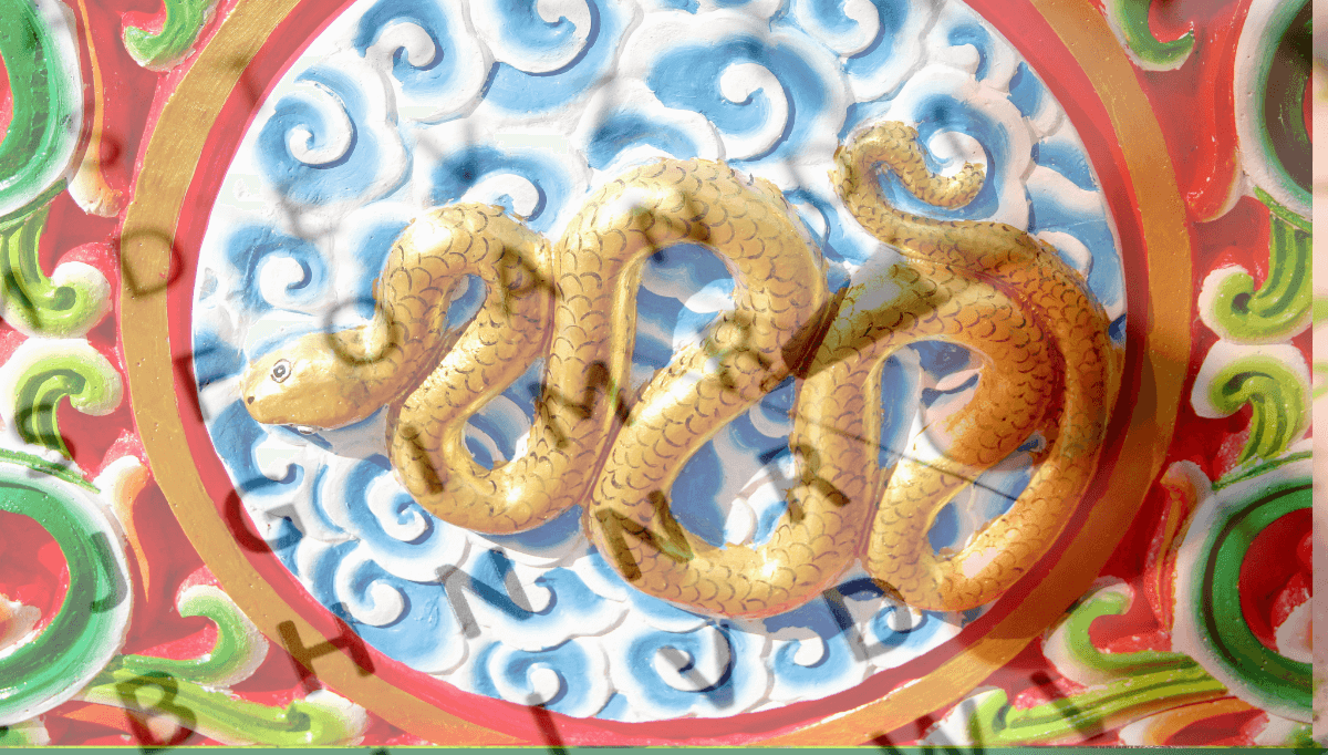 12 Year of the Snake Activity Ideas for Chinese New Year