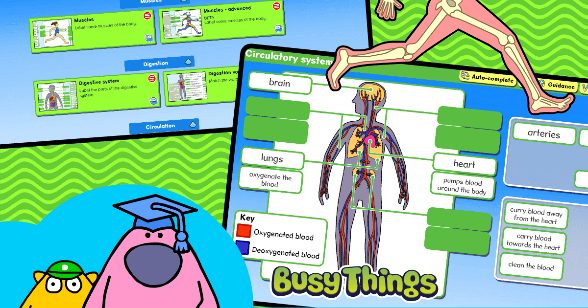 Exploring the human body with Busy Things - Busy Things Blog